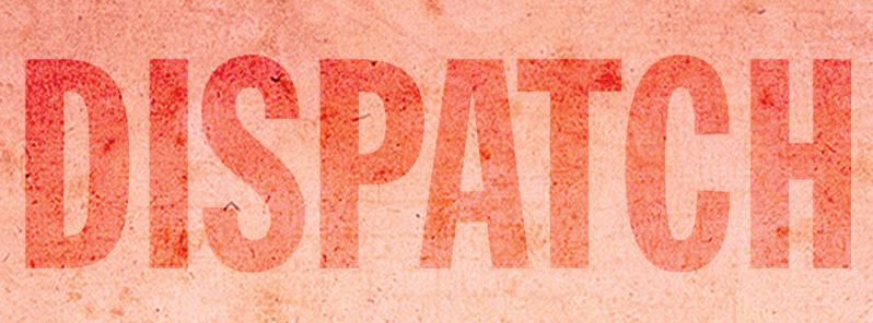 Dispatch Merch - Official Online Store on District Lines